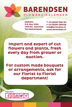 Dutch Flower Export Companies | Best Flower Site